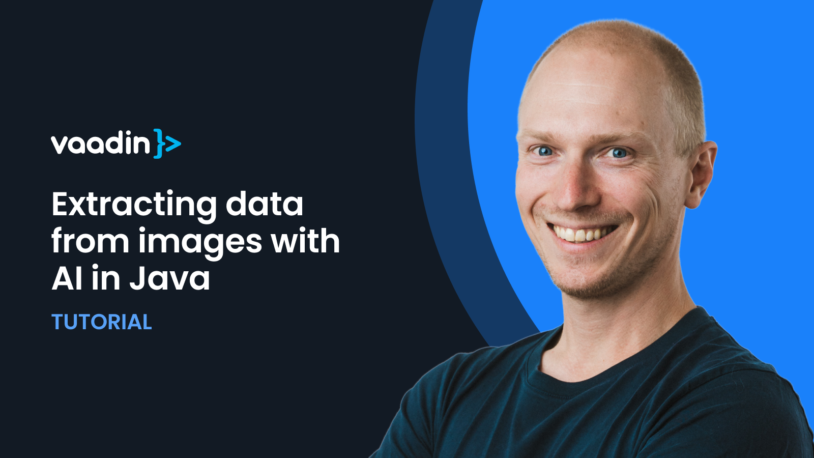 Extracting Structured Data From Images Using Ai In Java Vaadin